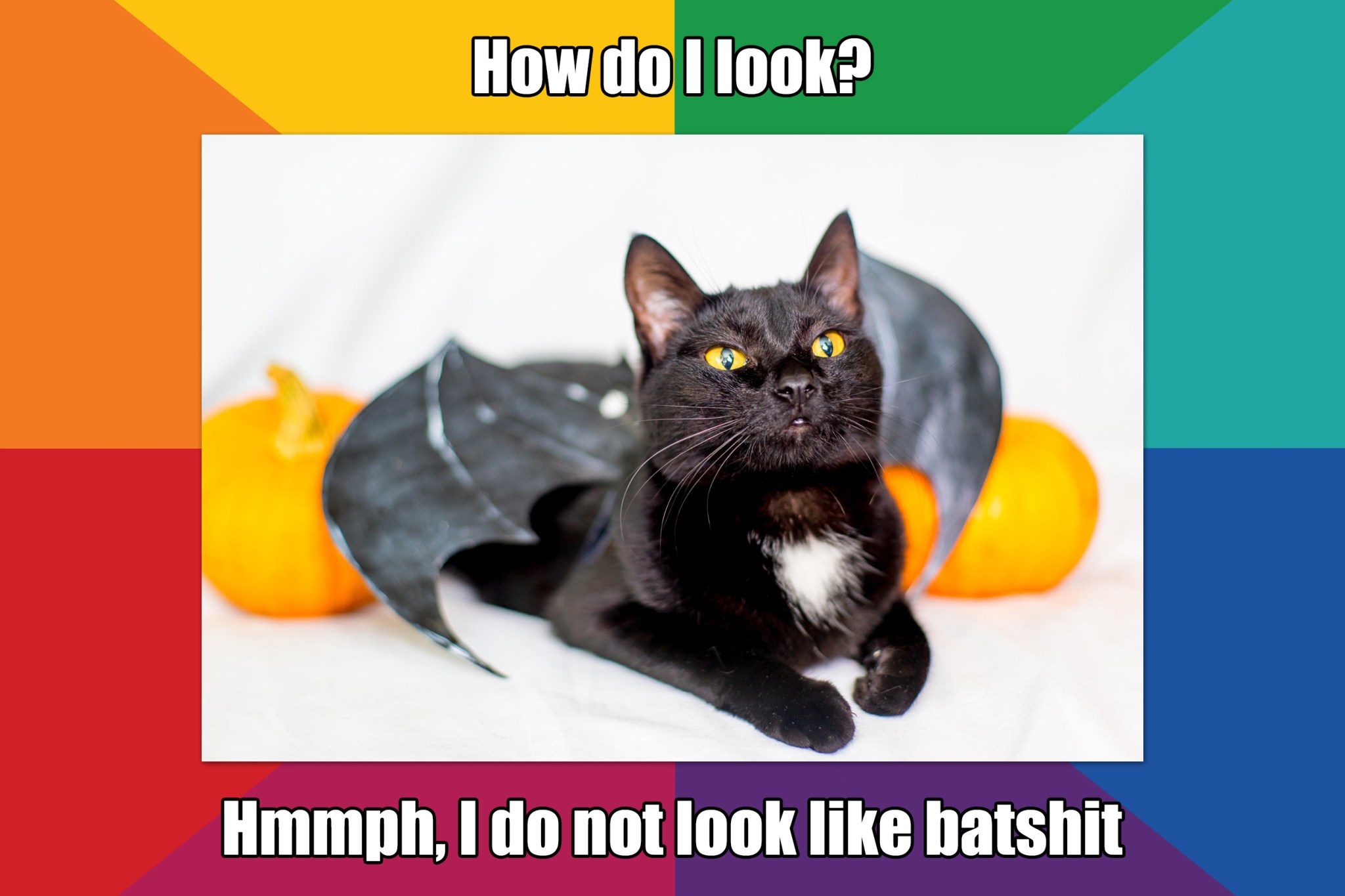 Batshit? – Annette Mori