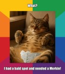 More About Merkins – Annette Mori